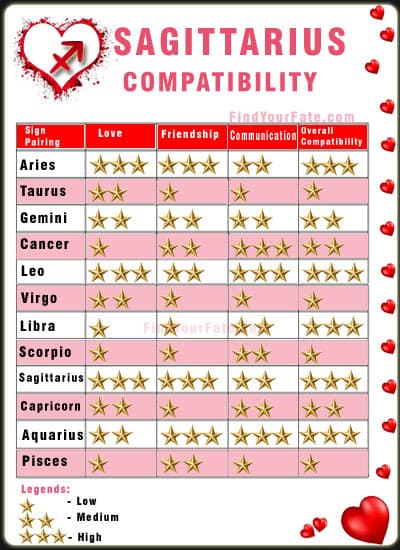 Discover Compatibility Insights for Stronger Bonds